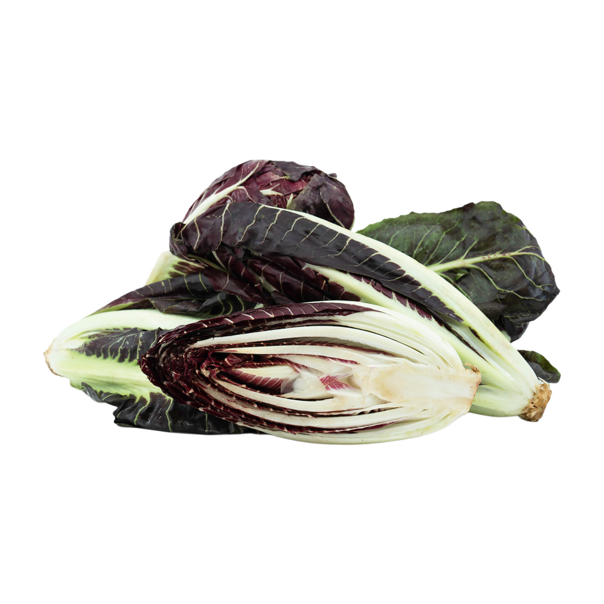 Treviso Radicchio Appx 300gm - 500gm