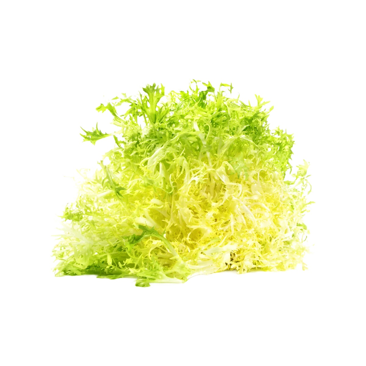 Yellow Frisee Lettuce Appx 400g-450g
